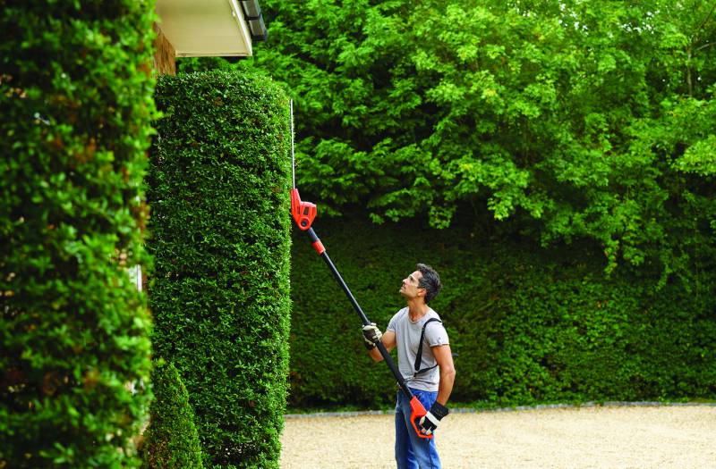 Comment tailler une haie de façon simple et efficace ? - topactualites.com