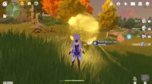 Emplacement Fleur de Fortune : Comment trouver des Fleurs de Richesse ...