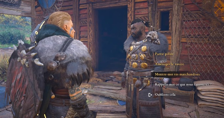 Assassin's Creed Valhalla Vagn Glitch: Comment Corriger Le Bug Du Raid ...