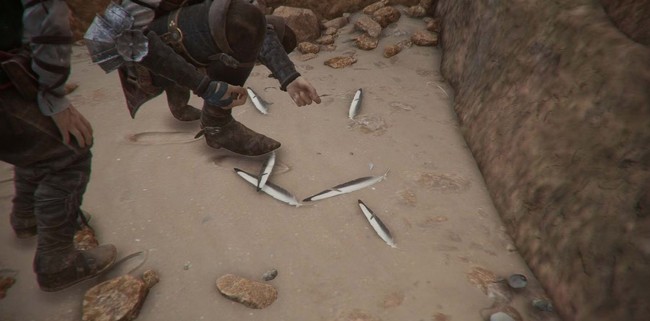 Emplacements plumes A Plague Tale Requiem: Où les trouver pour ...