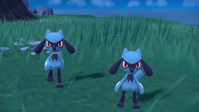 Comment capturer Riolu Shiny dans Pokémon Écarlate et Violet ...
